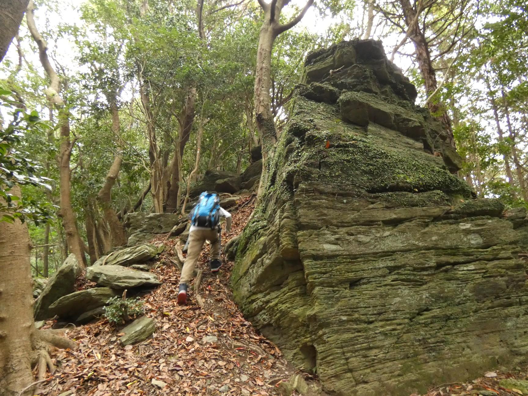 息子の急登リクエスト🧒_松尾岳・佐敷岳・寺岳 / セイゴさんの八郎岳・松尾岳・熊ヶ峰の活動データ | YAMAP / ヤマップ