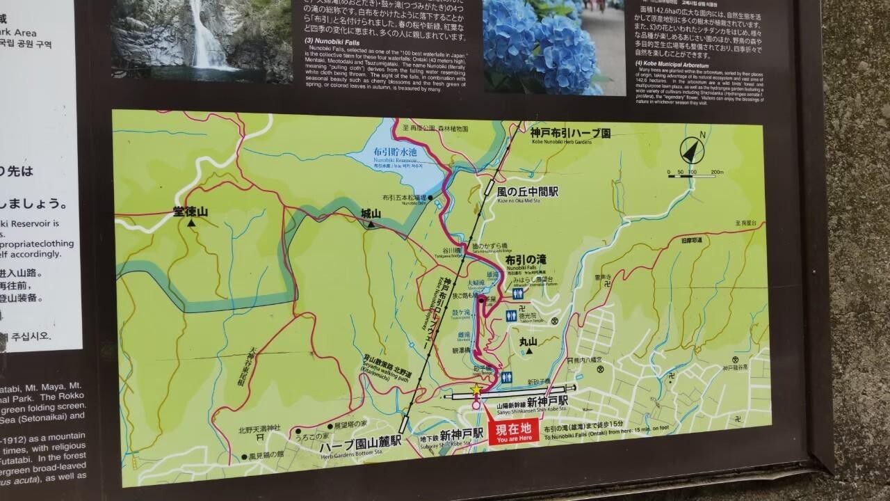 2022/4/18 布引ハーブ園 『新... / kokeさんのモーメント | YAMAP / ヤマップ