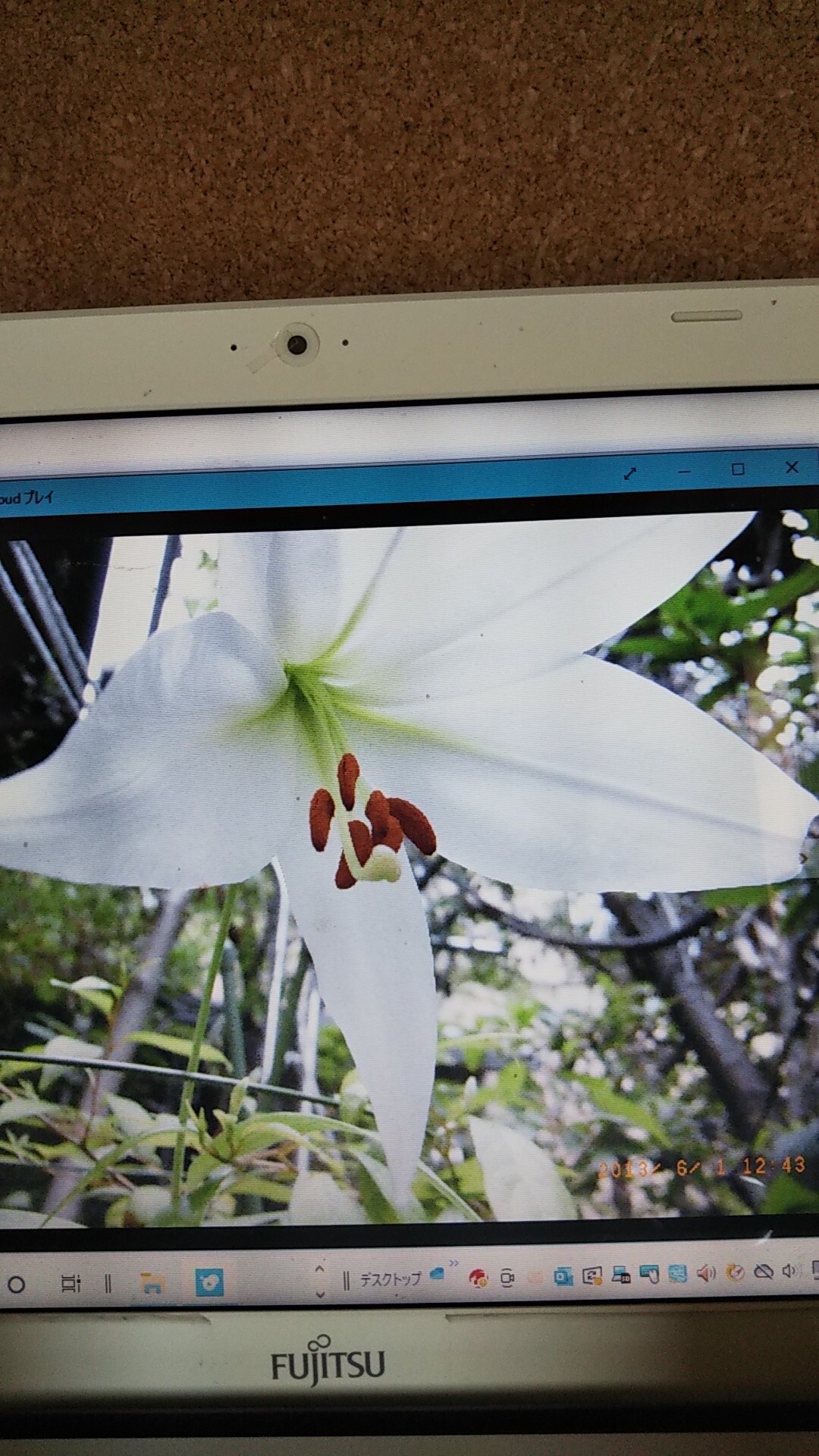 2013年 6月1日 6月2日 6月3日... / yuusenさんのモーメント | YAMAP / ヤマップ