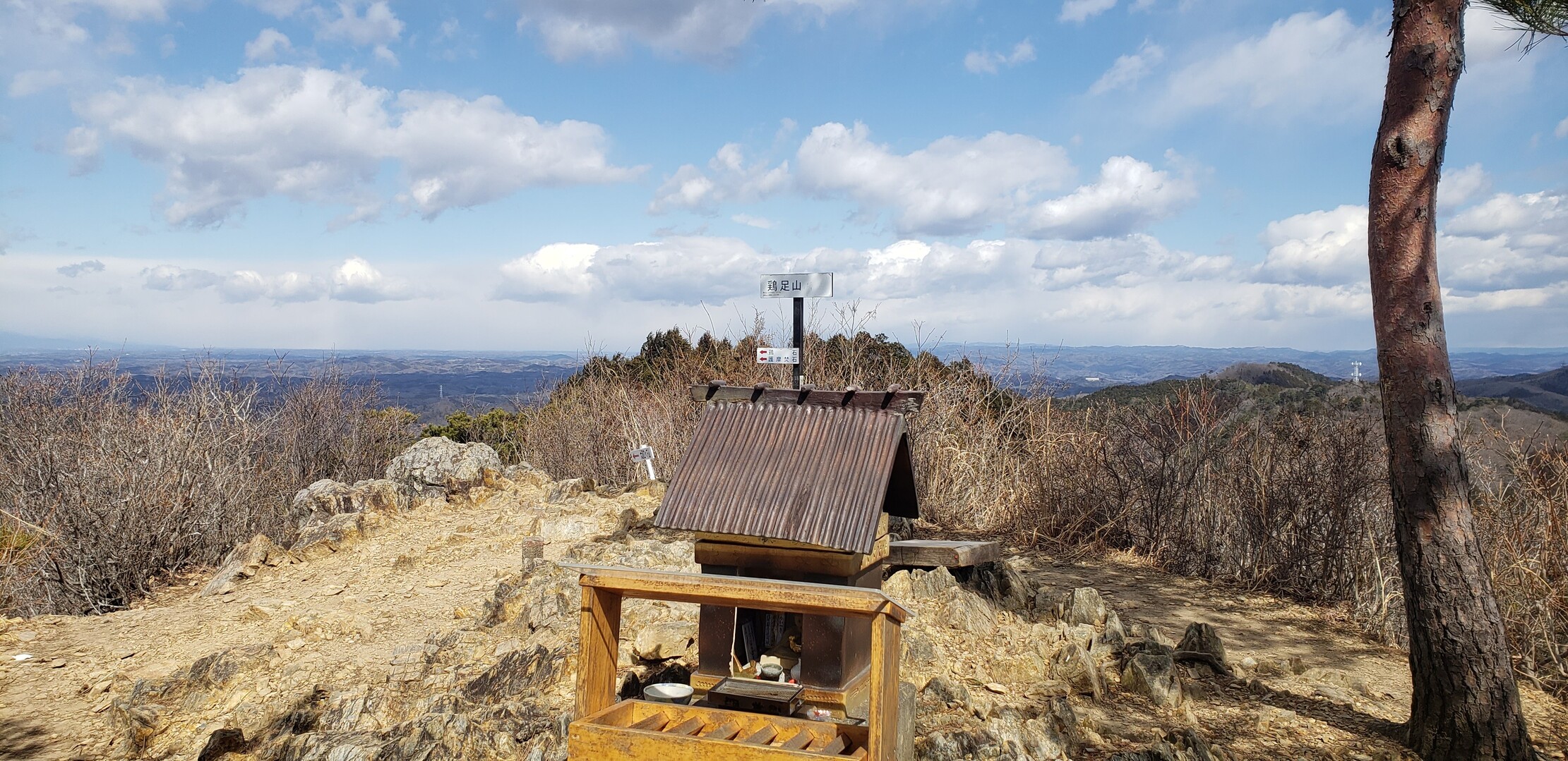 赤沢富士・鶏足山・焼森山 / Shuu-jiさんの焼森山・鶏足山の活動データ | YAMAP / ヤマップ