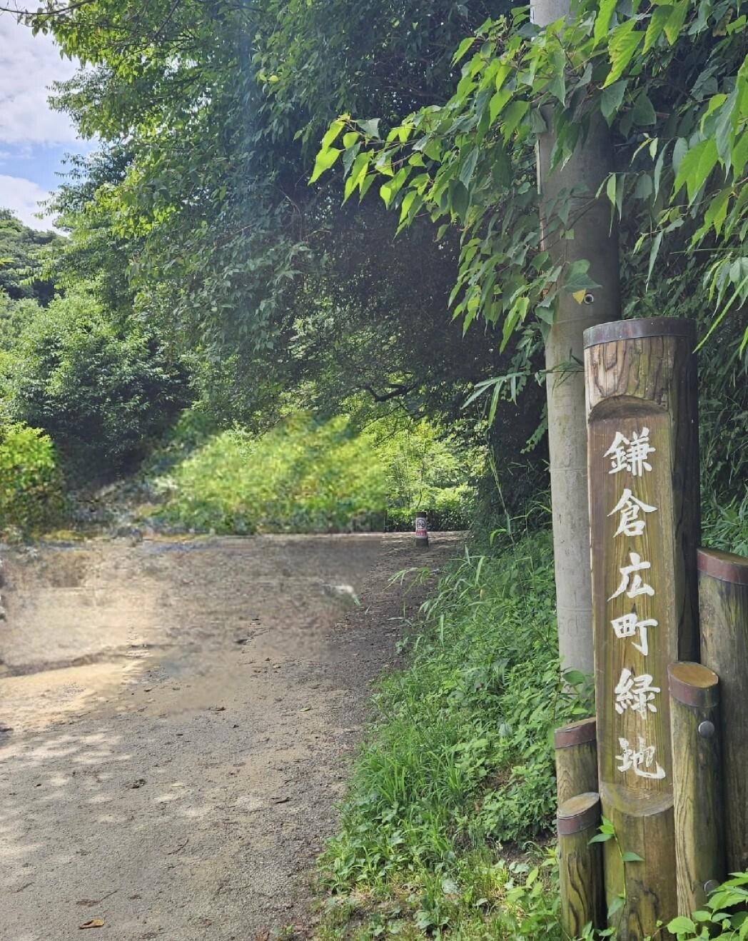 ｳｫｰｷﾝｸﾞ / かおさんのウォーキングの活動日記 | YAMAP / ヤマップ