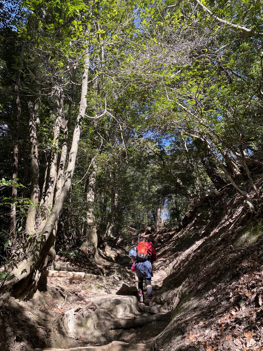 久しぶりの猿投山😊〜ど真ん中に届け〜 猿投山・物見山の写真6枚目 歩きやすい登山道です😊 英語の試験が始 Yamap ヤマップ