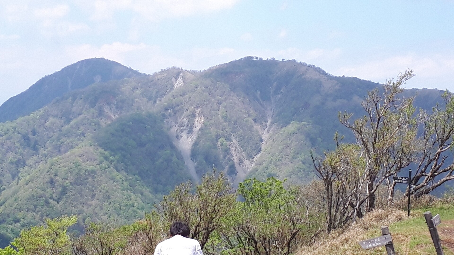 塔ﾉ岳-2019-05-23 / kawanobuさんの丹沢山の活動データ | YAMAP / ヤマップ