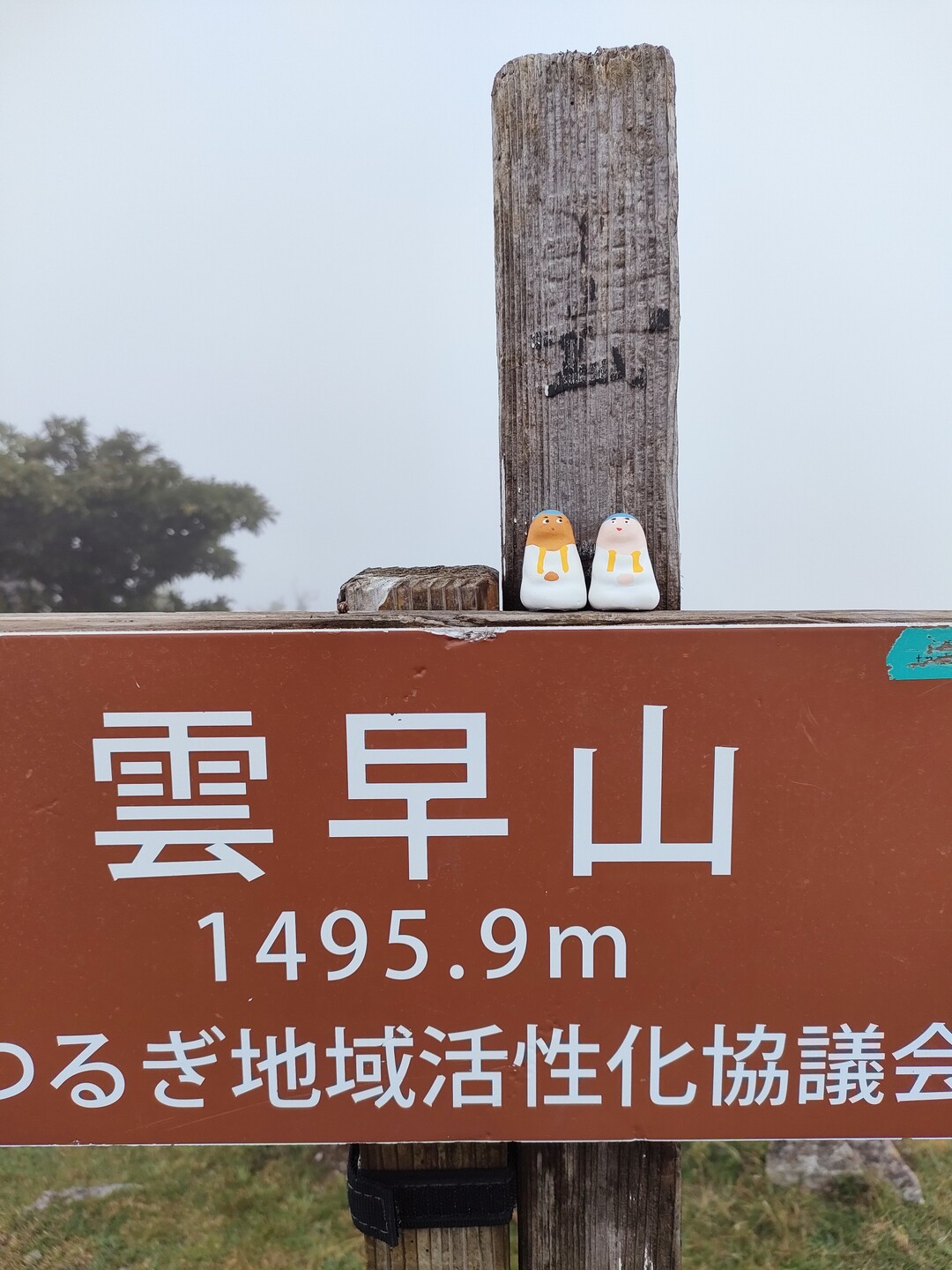 雲早山（霧中編） / bowsunさんの雲早山・高丸山・西三子山の活動データ | YAMAP / ヤマップ