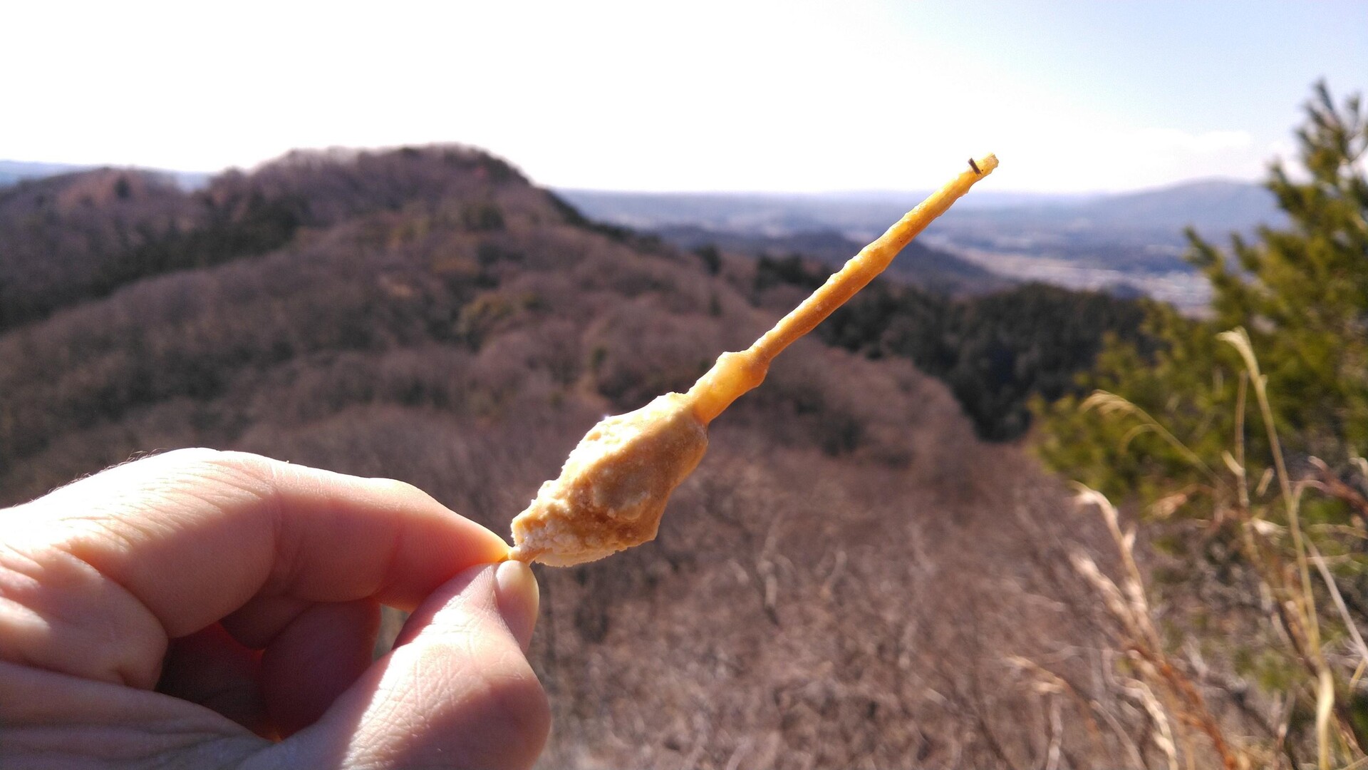 石森山！絹谷富士！ / kohirouさんのいわき市の活動データ | YAMAP / ヤマップ