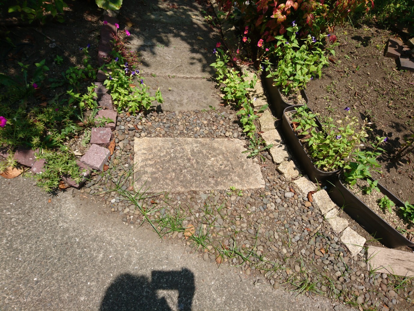 【メンテナンスフリーの庭へ】 固まる土... / shoさんのモーメント | YAMAP / ヤマップ