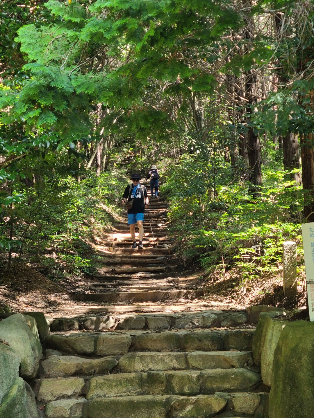 本宮山 -2022-07-28 / tatubaiさんの本宮山・大日山・風頭山の活動データ | YAMAP / ヤマップ