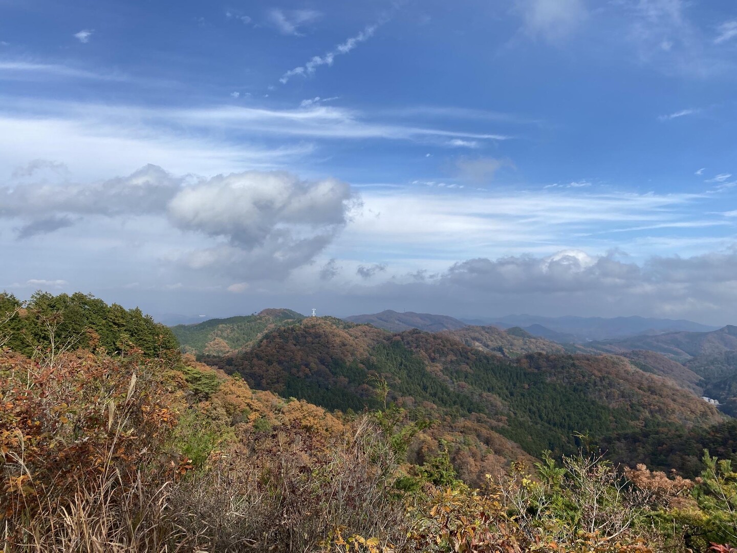錦秋の鶏足山・焼森山🍁 / mayuminさんの焼森山・鶏足山の活動データ | YAMAP / ヤマップ