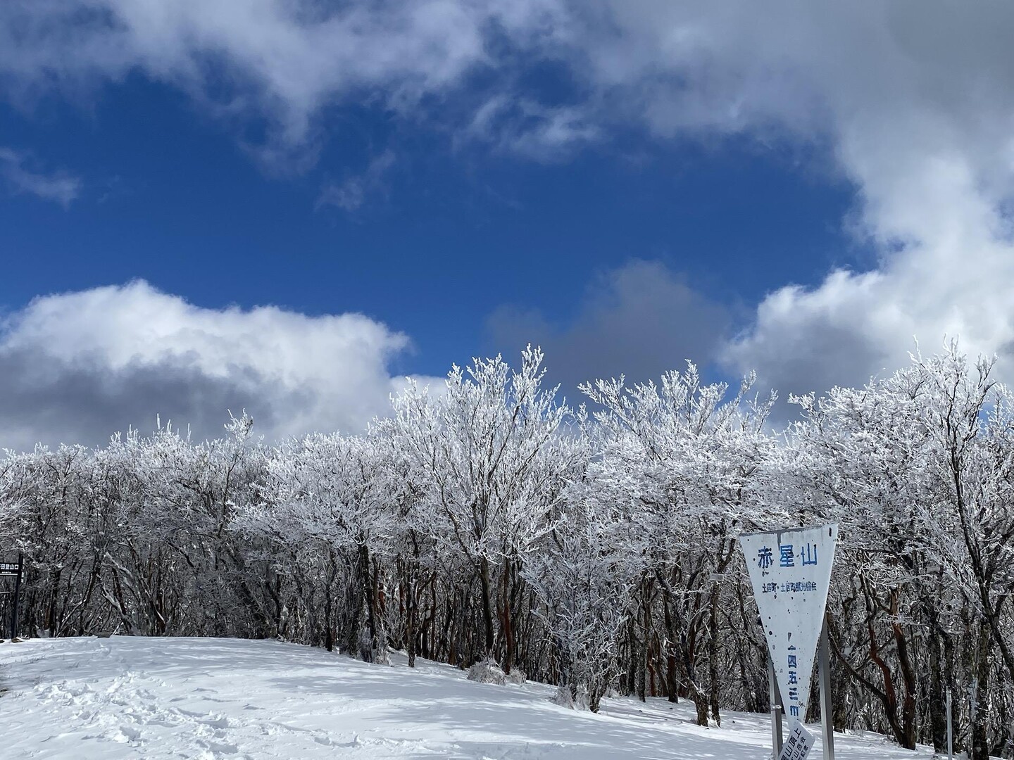 RED STAR mountain🍺 / verrats(ラット)さんの赤星山・豊受山の活動データ | YAMAP / ヤマップ