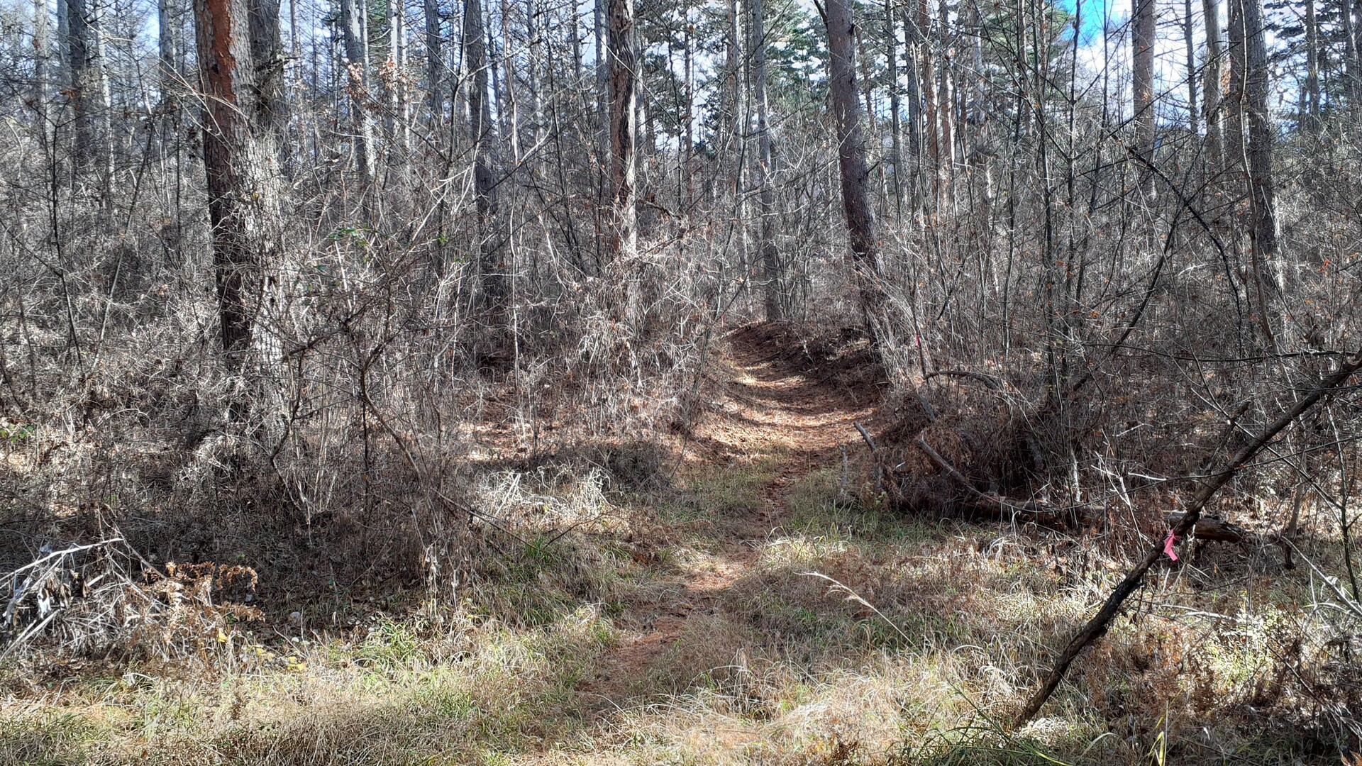 takabooさんの投稿したフィールドメモ | YAMAP / ヤマップ