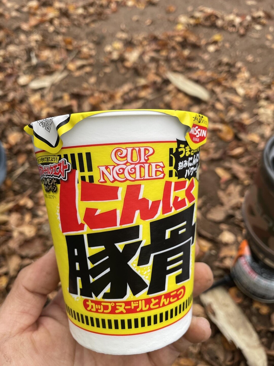 雁戸山 / mas_Rさんの蔵王山・雁戸山・不忘山の活動日記 | YAMAP / ヤマップ