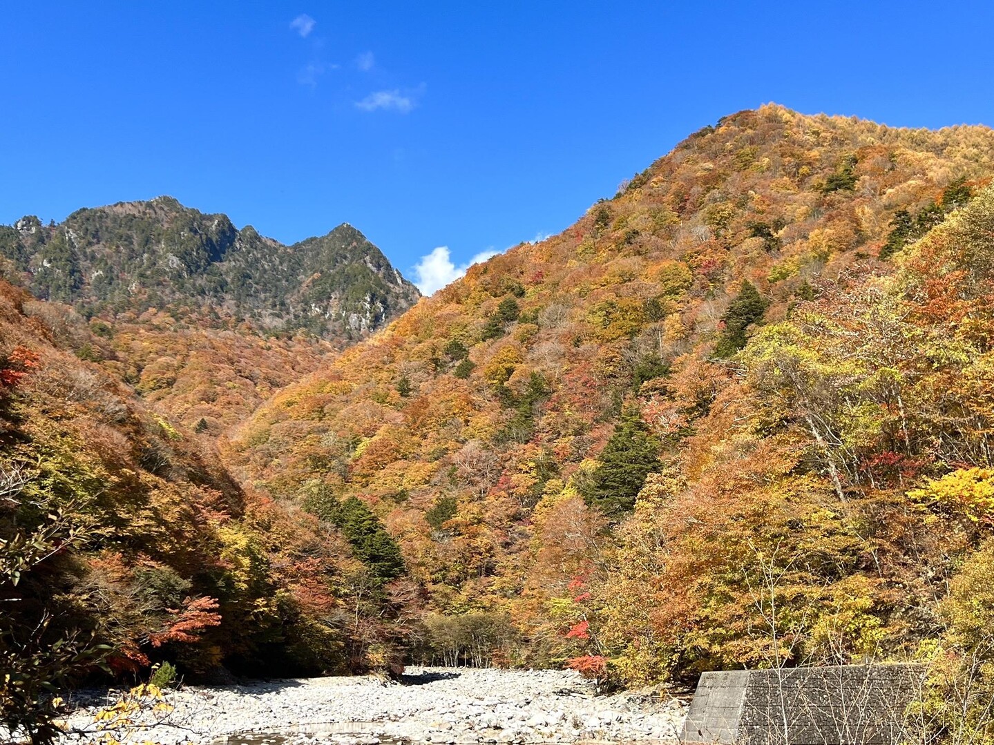 🍁西沢渓谷🍁 / 🌺SAE🌺さんの甲武信ヶ岳の活動データ | YAMAP / ヤマップ