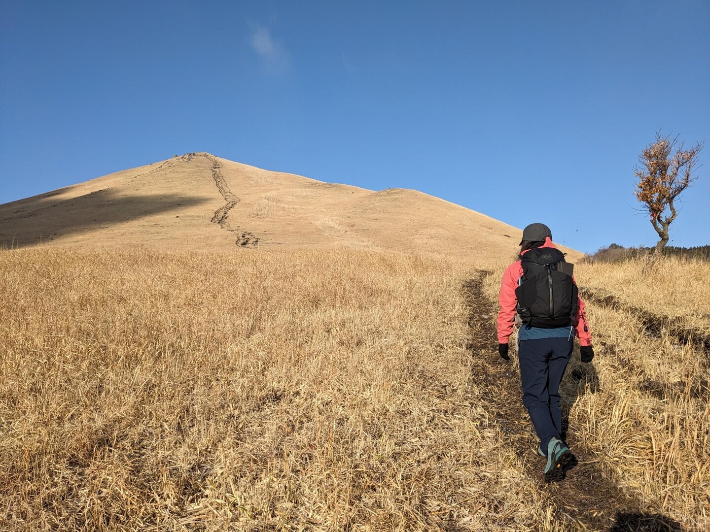 一目山・みそこぶし山 / MMさんの涌蓋山・猟師山の活動データ | YAMAP / ヤマップ