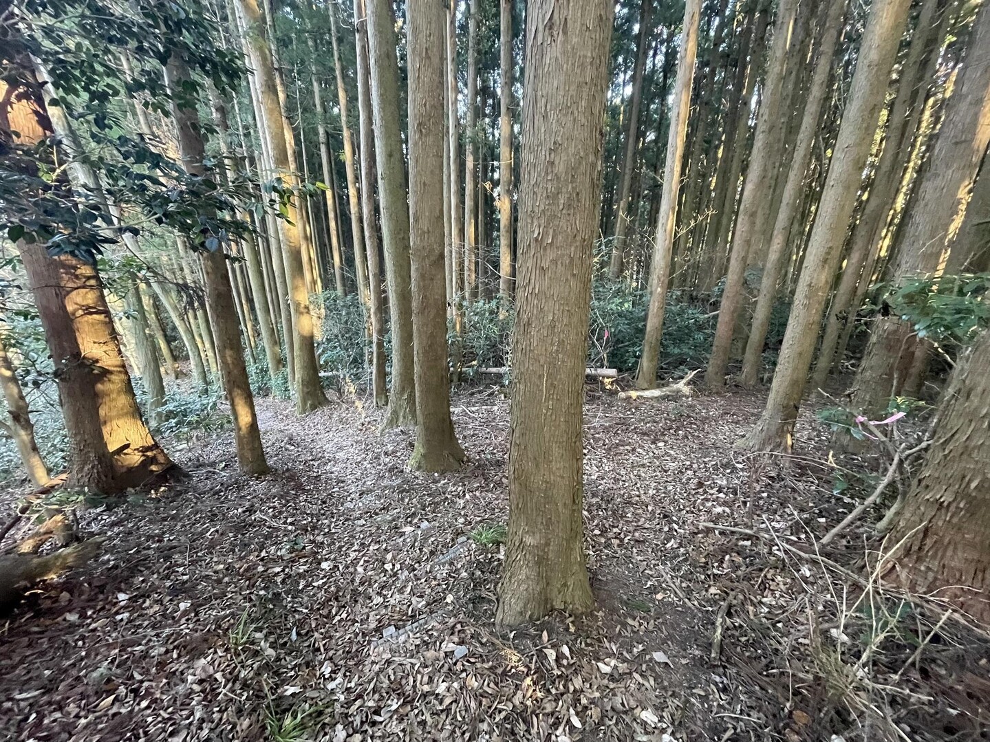 eeeeeeiichi さんの投稿したフィールドメモ | YAMAP / ヤマップ