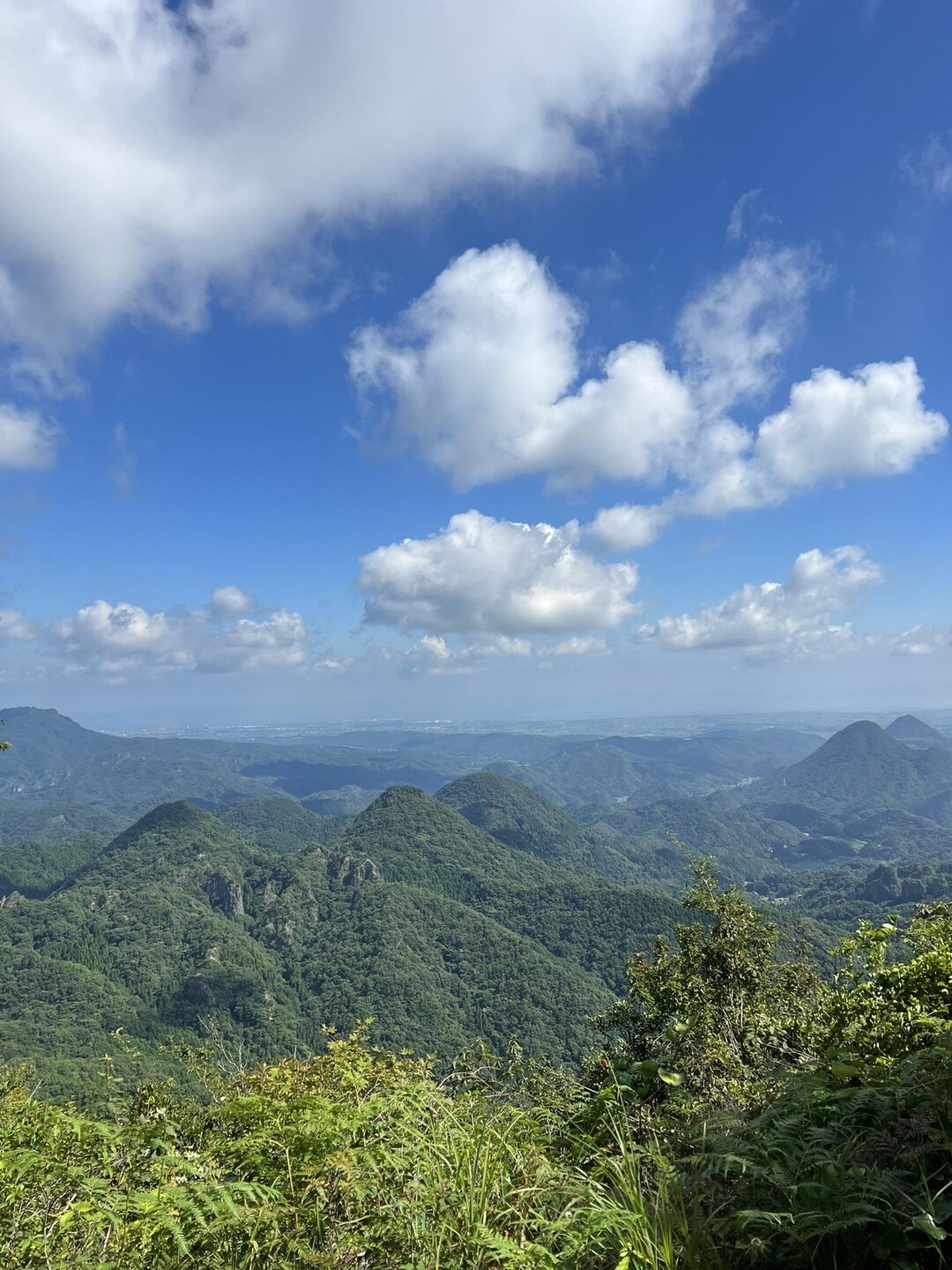 鹿嵐山(雌岳)・鹿嵐山（雄岳） / mimさんの鹿嵐山の活動データ | YAMAP / ヤマップ