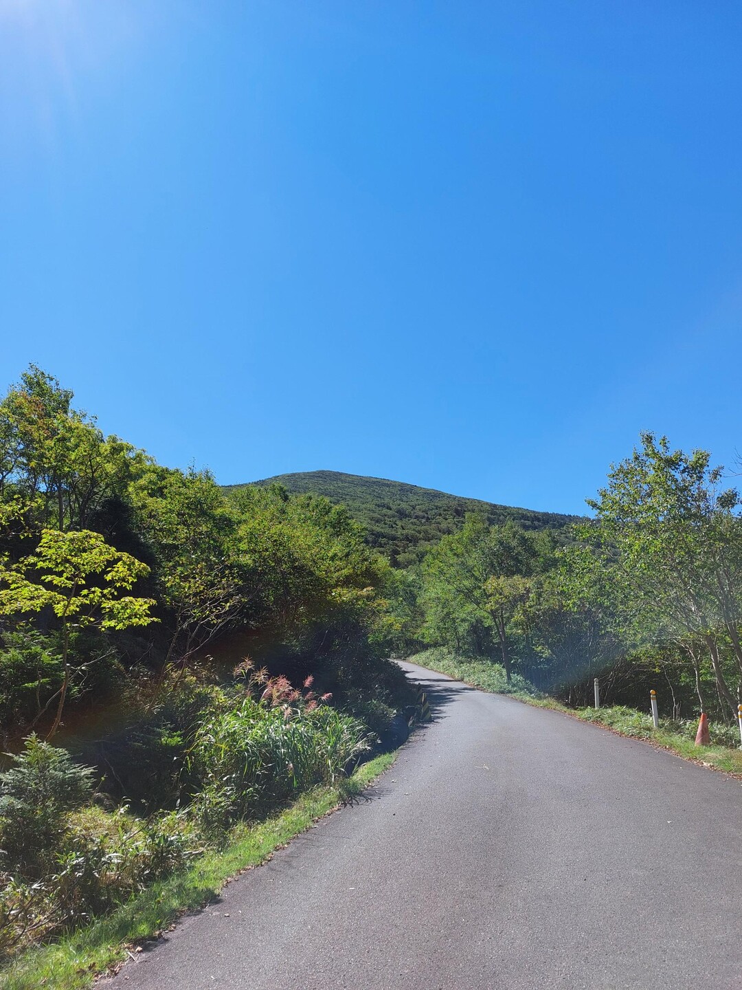 薬師岳 / HTさんの早池峰山・薬師岳・鶏頭山の活動データ | YAMAP / ヤマップ