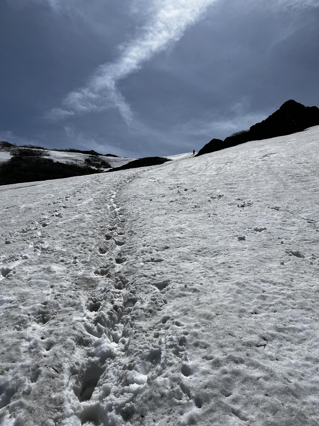 岩手山 御神坂コース / のむねるさんの岩手山・八幡平・安比高原 50km トレイルの活動データ | YAMAP / ヤマップ