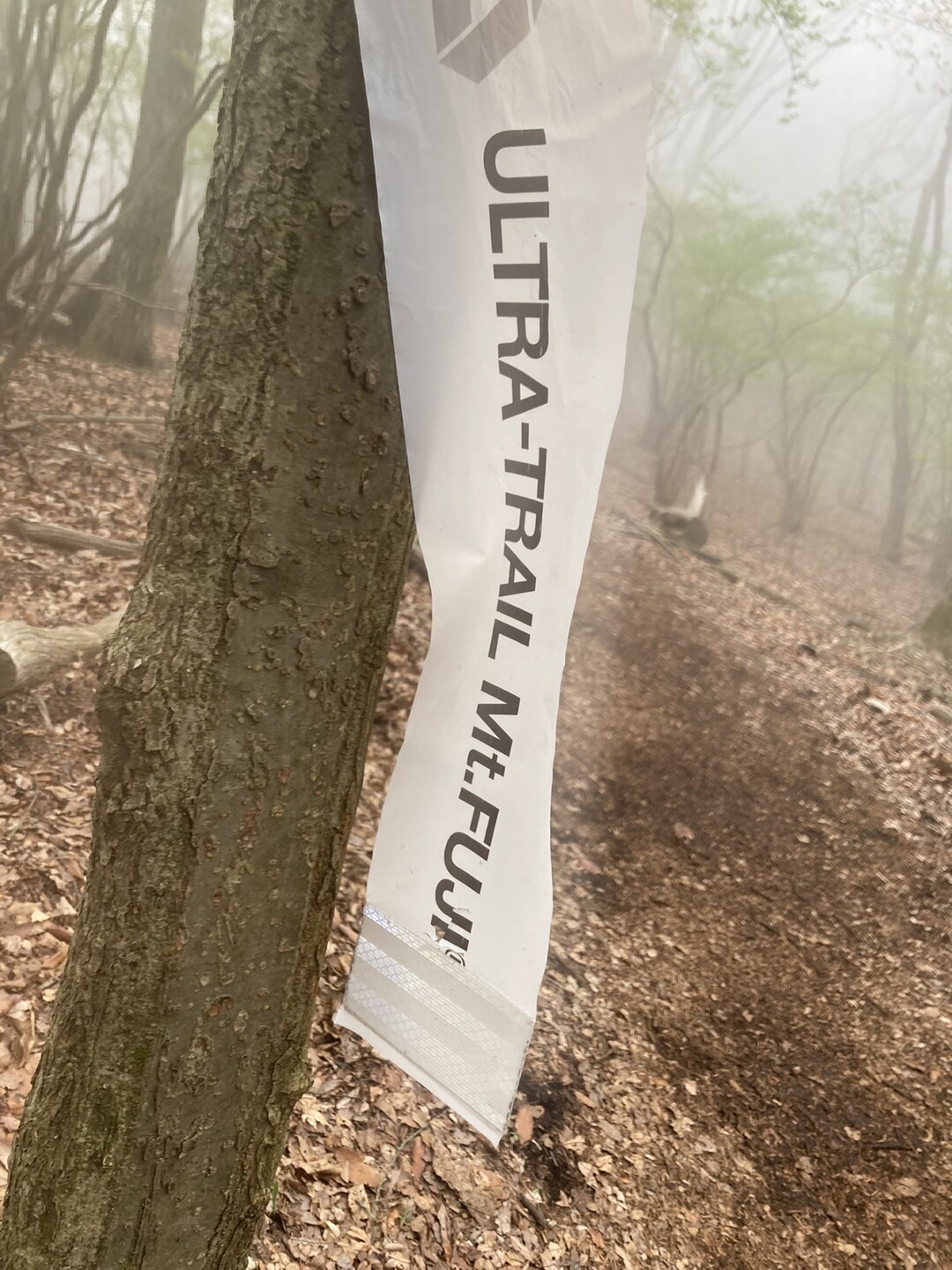 UTMF 2022 / おかだ さんのウォーキングの活動データ | YAMAP / ヤマップ