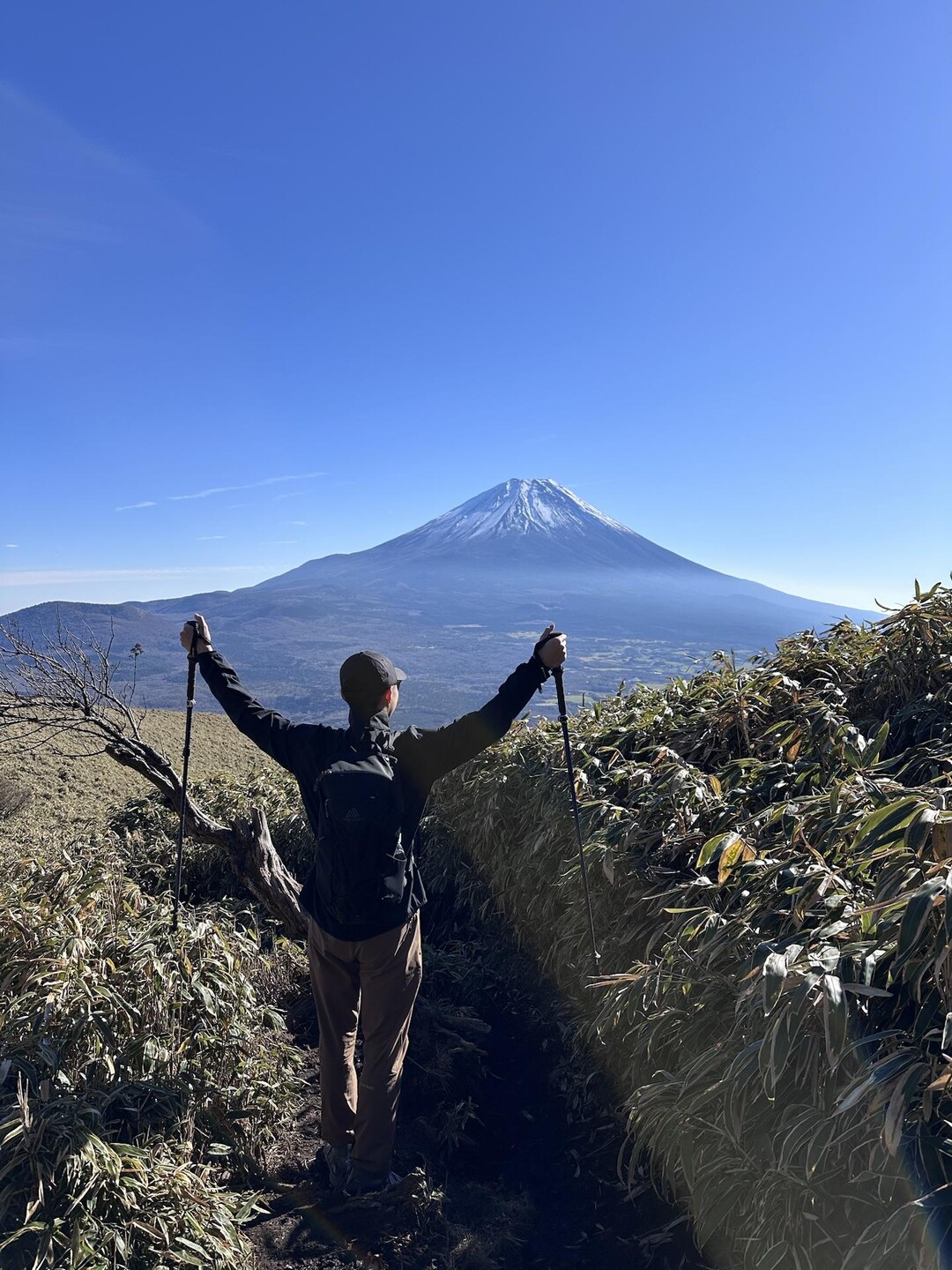 うそみたいだけど また竜ヶ岳🤭 / yamayokoさんの毛無山・雨ヶ岳・竜ヶ岳の活動データ | YAMAP / ヤマップ