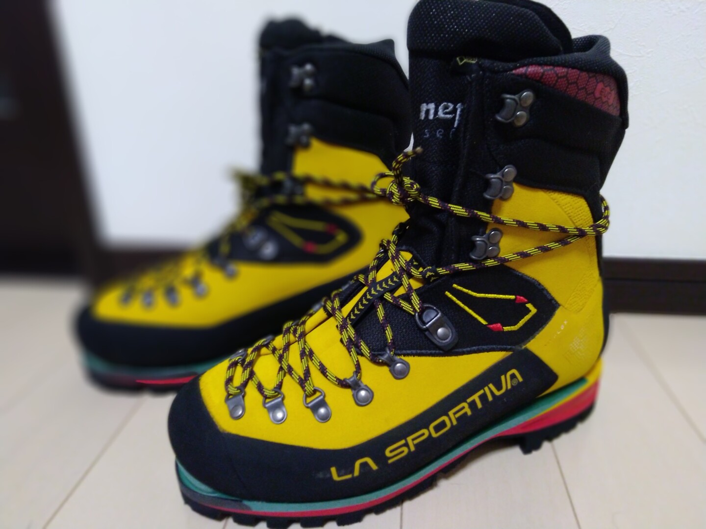 明日デビューの 期待の新人 \(>o