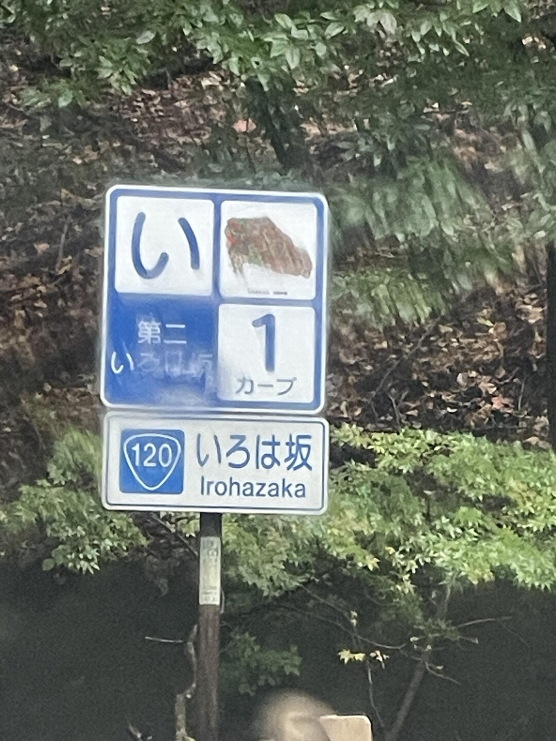 紅葉🍁sup 中禅寺湖 連休初日、雨... / reo634さんのモーメント | YAMAP / ヤマップ