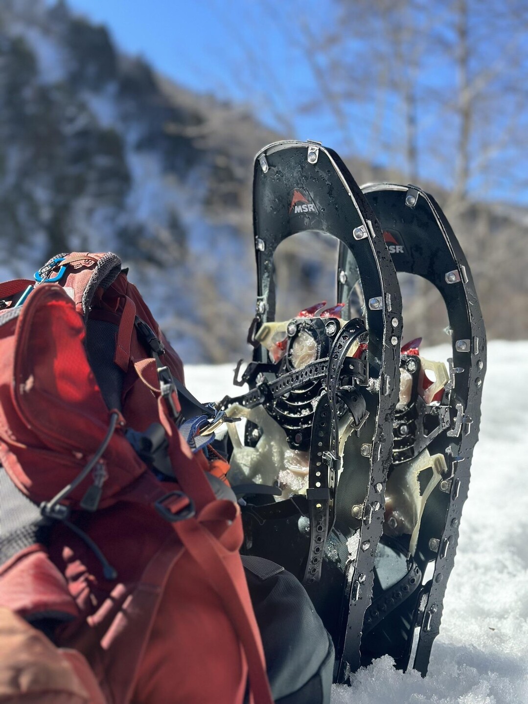 岩蕈山 / asobimanさんの岩蕈山（白馬岩岳）の活動データ | YAMAP / ヤマップ