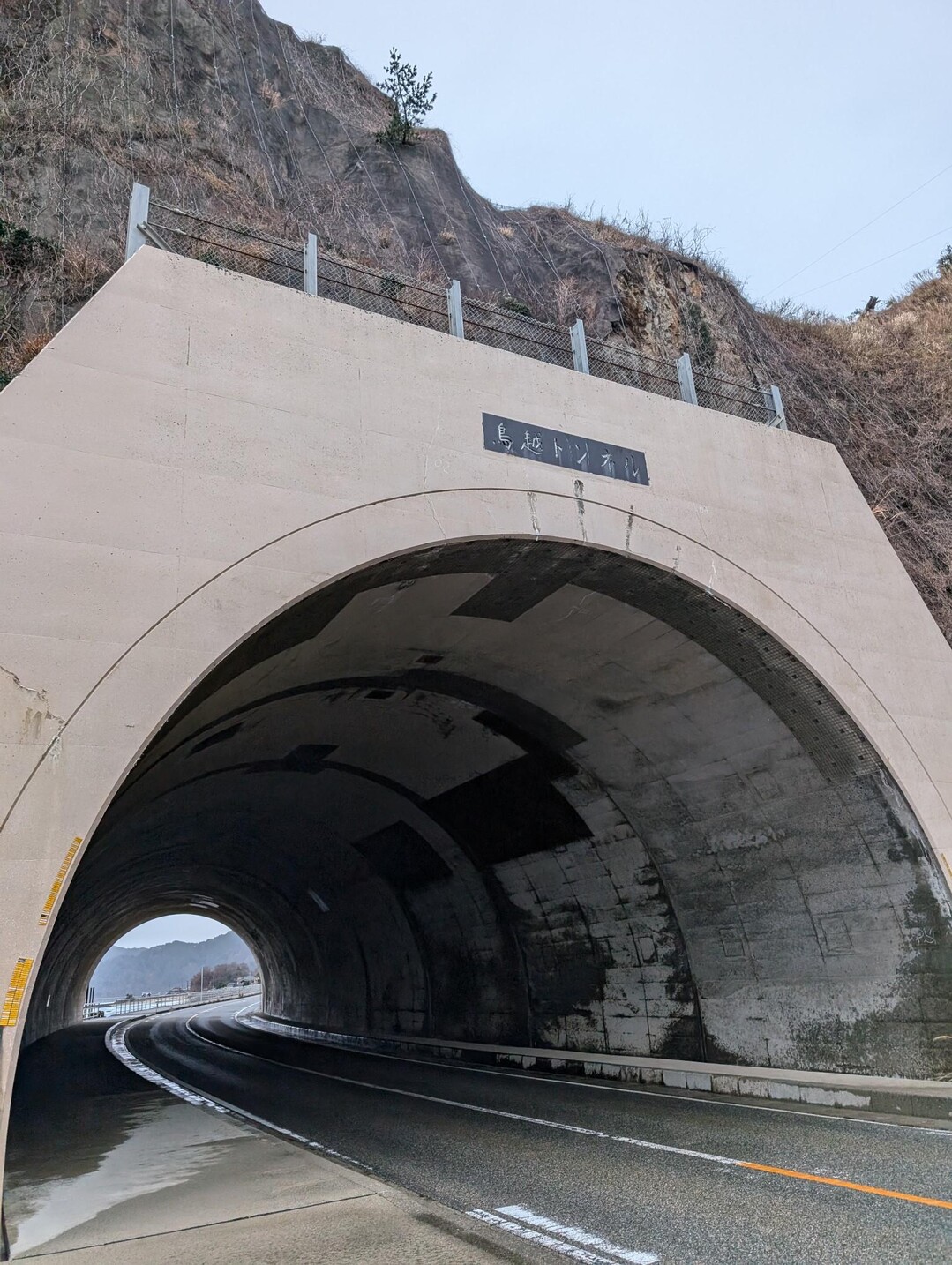 おまけでピークハントが出来た鳥越山⛰️😊 / HUSTLERさんの村上市（村上地区）の活動日記 | YAMAP / ヤマップ