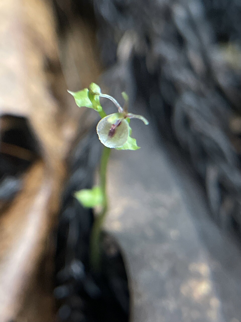 Atto-Rieのページ | YAMAP / ヤマップ