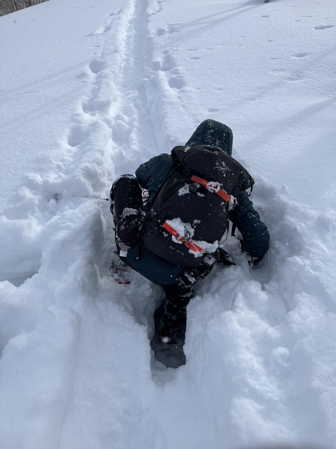てんくらA 🙄天幕山 / Arcさんの天幕山の活動データ | YAMAP / ヤマップ