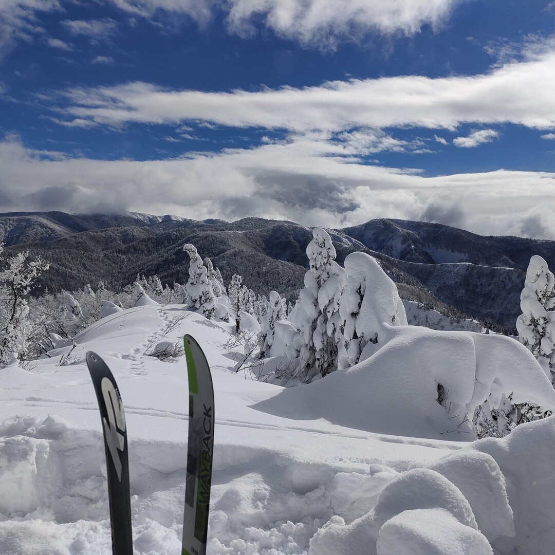 BCスキー護摩堂山 / Fumiさんの取立山の活動日記 | YAMAP / ヤマップ