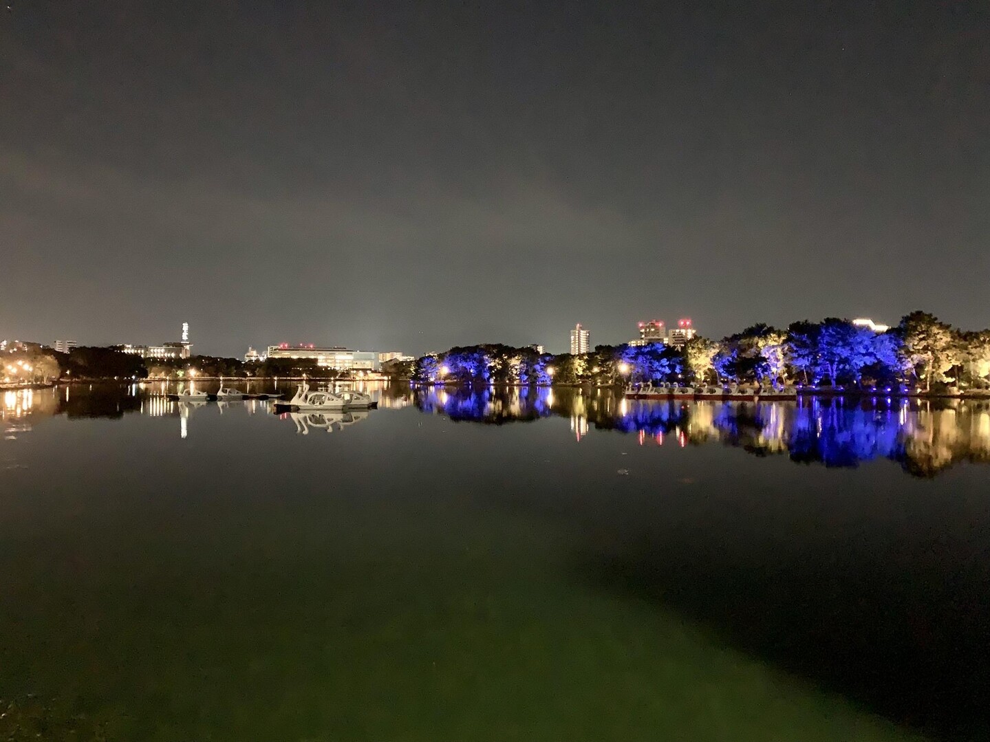 花金練習会🏃‍♂️20㌔ペース走 / yukiさんの【公式】福岡市（防災情報含む）の活動データ | YAMAP / ヤマップ