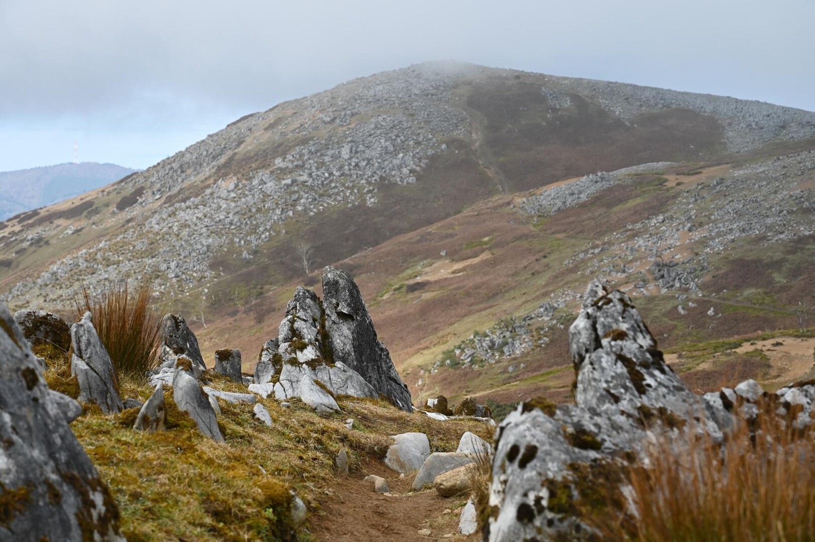 霊仙山を周回するなら左回り？右回り？いつも迷います（笑） / kei ichiさんの霊仙山の活動データ | YAMAP / ヤマップ
