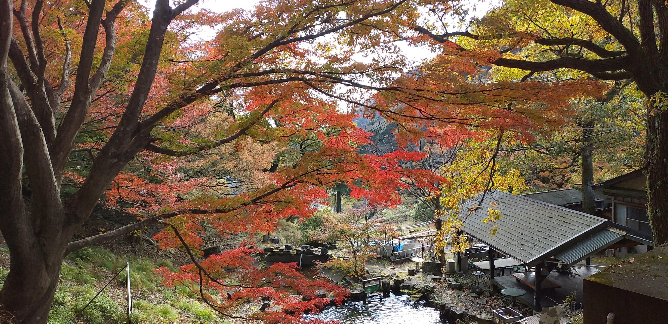 雲母峰Ⅱ峰・雲母峰・雲母西峰・P791 / huuroさんの入道ヶ岳・鎌ヶ岳・仙ヶ岳の活動データ | YAMAP / ヤマップ