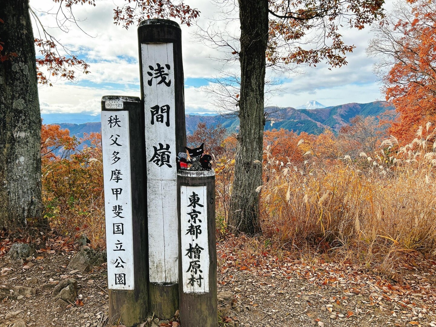 払沢の滝-浅間嶺-仲の平BS🍁山飯回🍴 / くまのこさんの大岳山・御岳山・御前山の活動日記 | YAMAP / ヤマップ