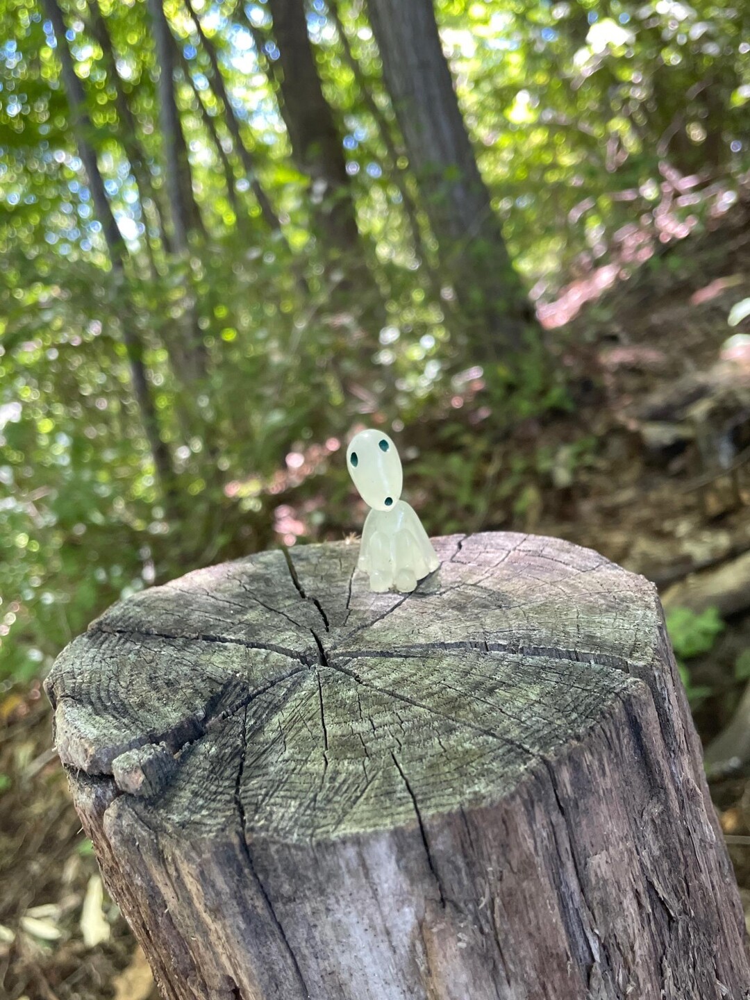 木霊に出会えたよ🍀浅間山(水沢山) / kintaさんの榛名山・天狗山・天目山の活動データ | YAMAP / ヤマップ