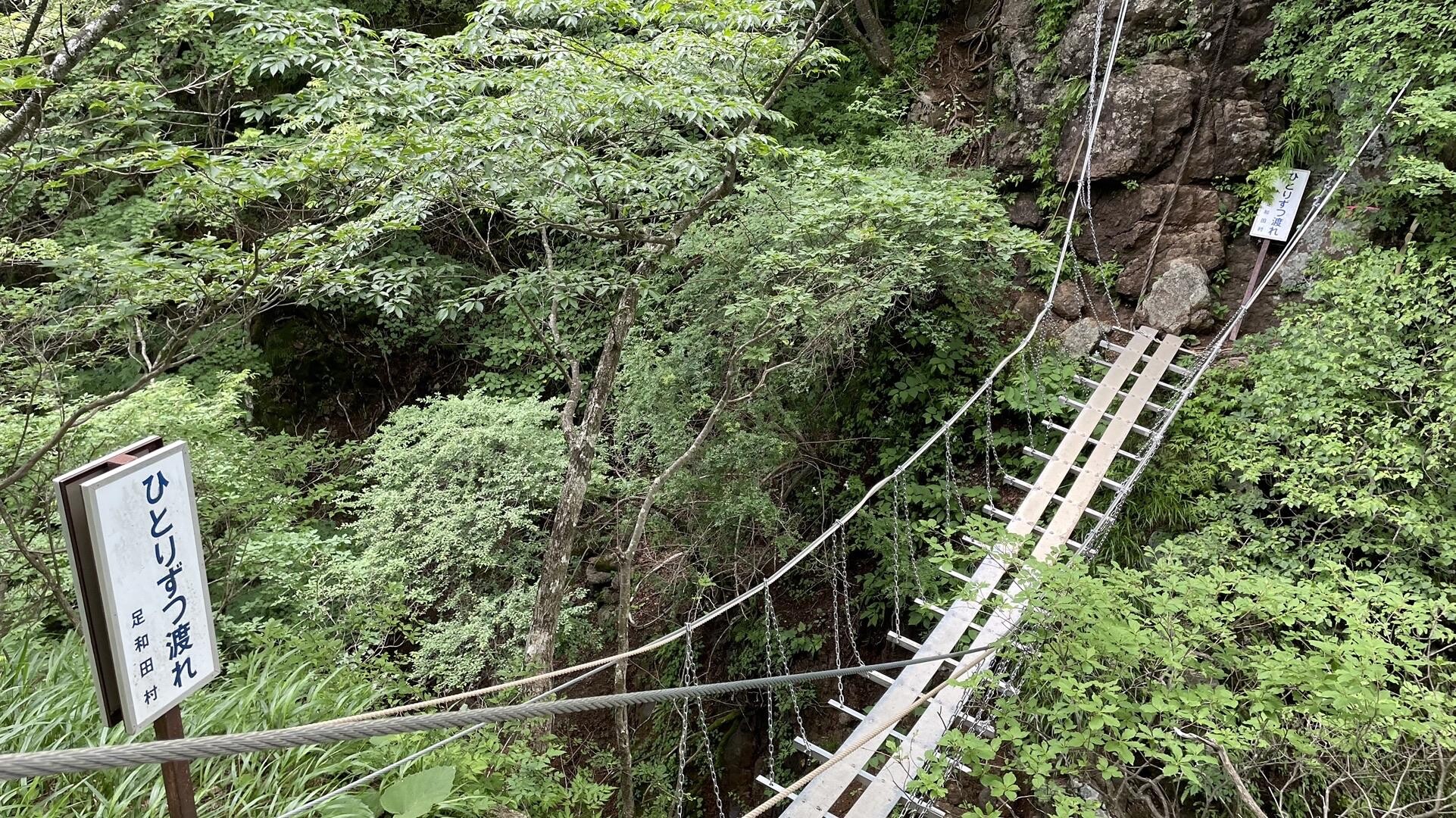 十二ヶ岳・毛無山 / dK_Kbさんの節刀ヶ岳・破風山・足和田山の活動日記 | YAMAP / ヤマップ