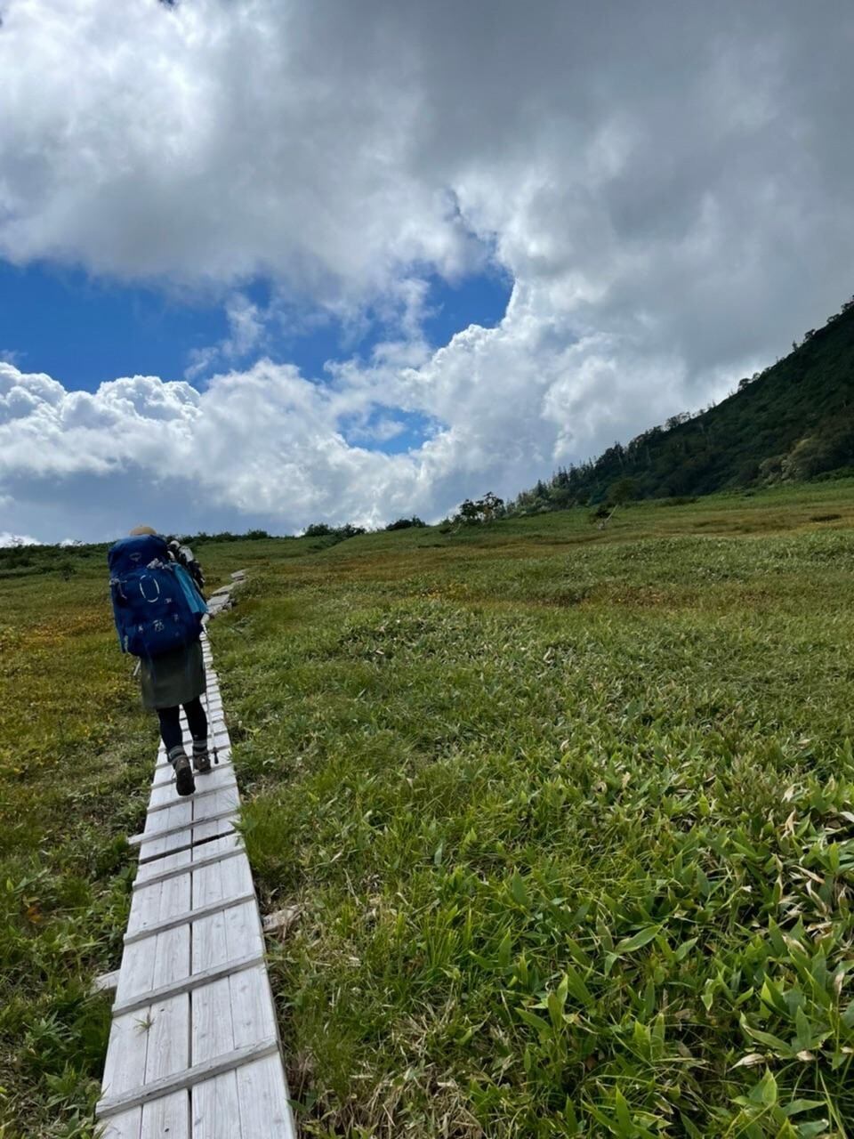 mikiのページ | YAMAP / ヤマップ