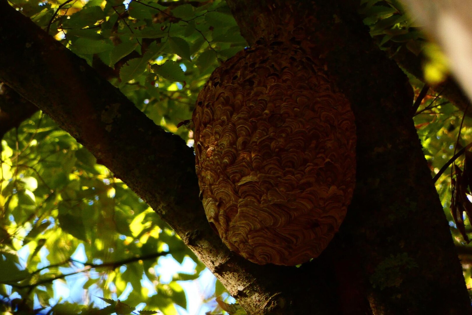 ひなみさんの投稿したフィールドメモ | YAMAP / ヤマップ