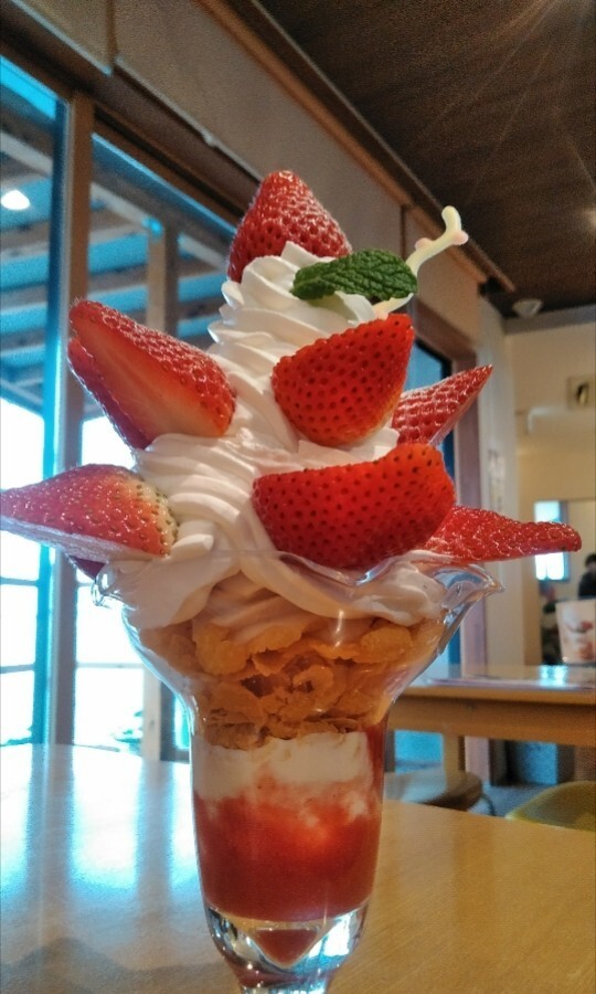 深山帰りのBerry Very Labo... / みかんまるさんのモーメント | YAMAP / ヤマップ