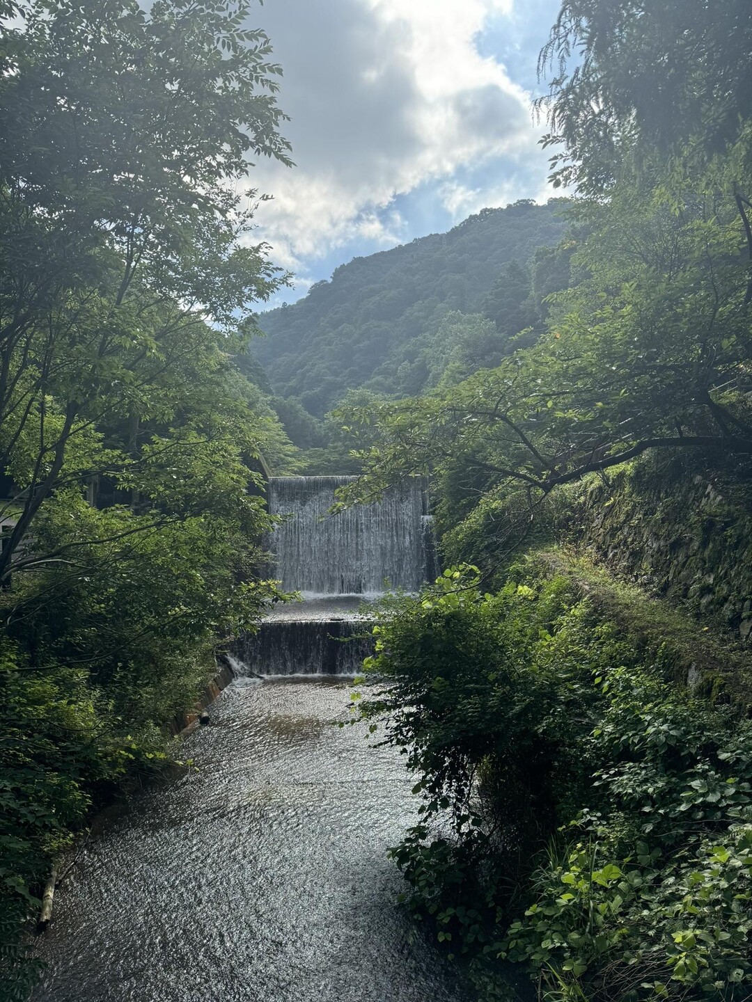 修学院山 / 105sunさんの比叡山・横高山・梶山の活動データ | YAMAP / ヤマップ