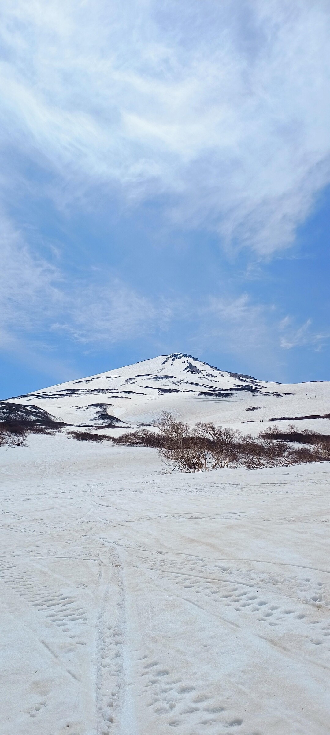 七高山 猿倉口 / EMMAさんの鳥海山・七高山・笙ヶ岳の活動データ | YAMAP / ヤマップ