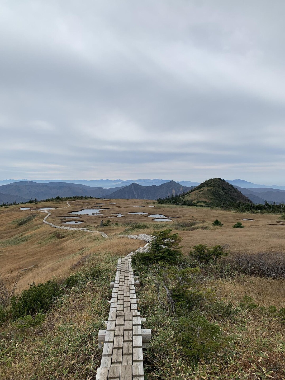 苗場山（登山道は岩と根っこと泥だ編） / na_oさんの苗場山・赤倉山・佐武流山の活動データ | YAMAP / ヤマップ