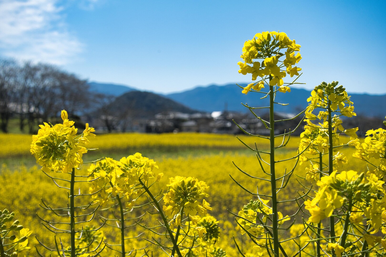 いつもお世話になっております。引き続き、... / persさんのモーメント | YAMAP / ヤマップ