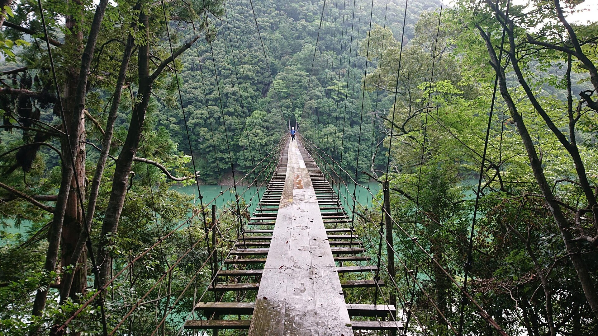 今年も小黒谷、またダメでした😥 / t-setoさんの玉置山の活動データ | YAMAP / ヤマップ