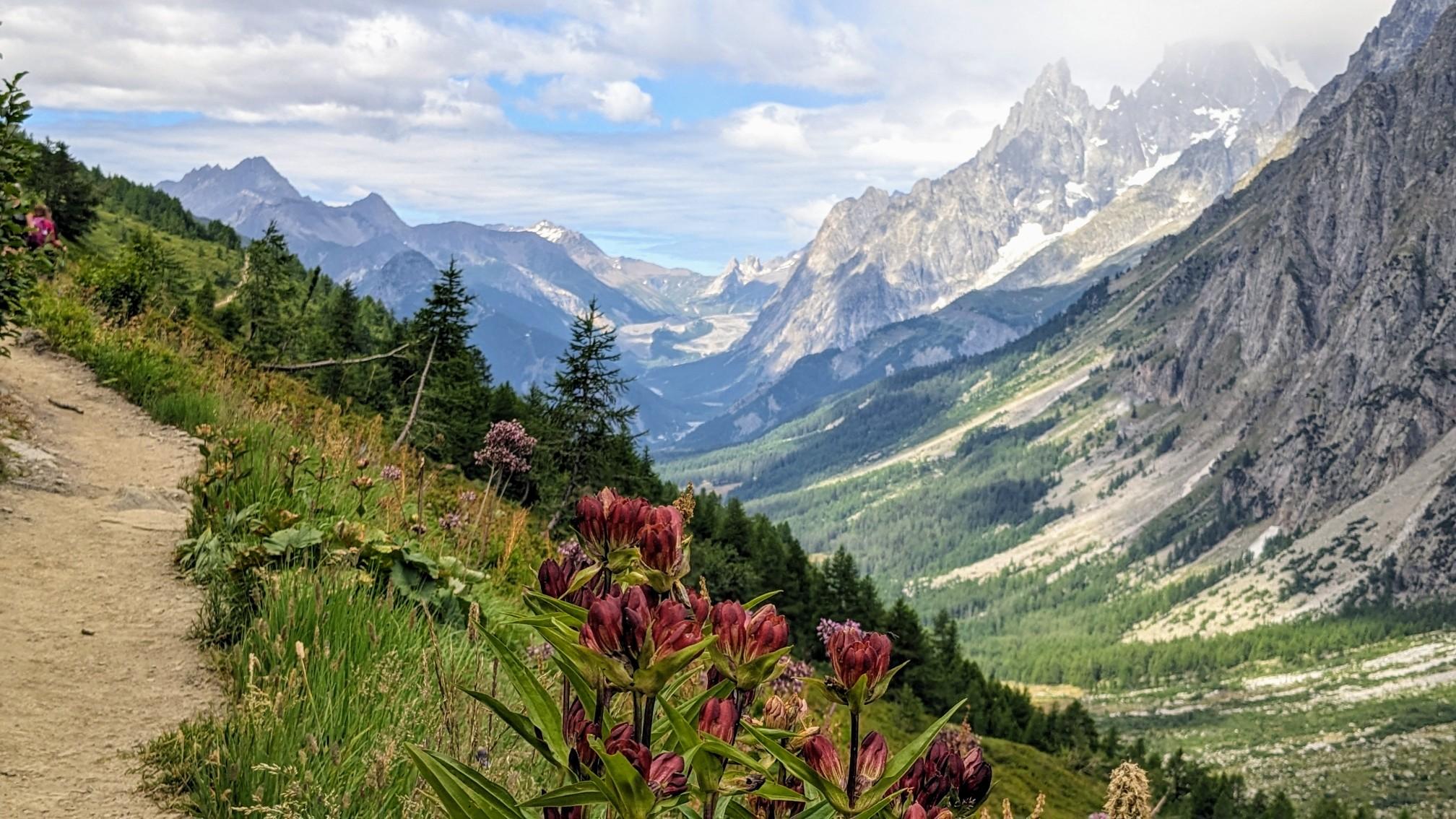 Courmayeur 🇮🇹 フェレ谷 TMBを歩く / KeiSさんのツール・ド・モンブラン_Tour du Mont Blanc（TMB）の活動データ | YAMAP / ヤマップ