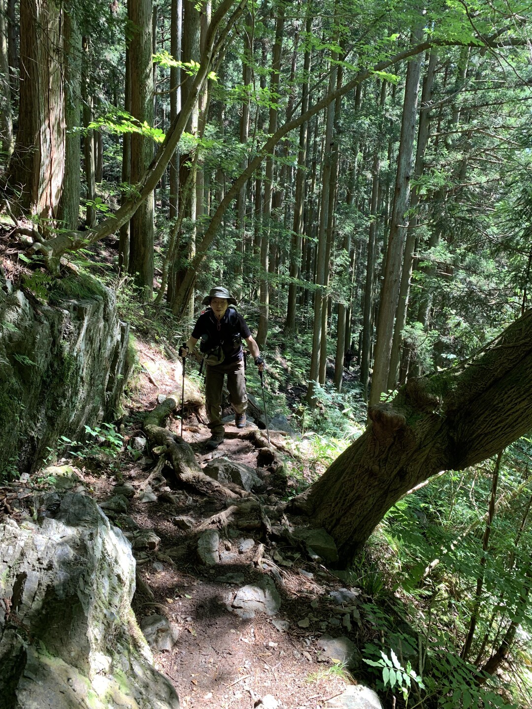 アドベンチャー感満載でめっちゃ楽しい沢登り🎵😆 / 高水山・岩茸石山・惣岳山の写真10枚目 / ついていくワタシ。 今回はコットン100 | YAMAP / ヤマップ