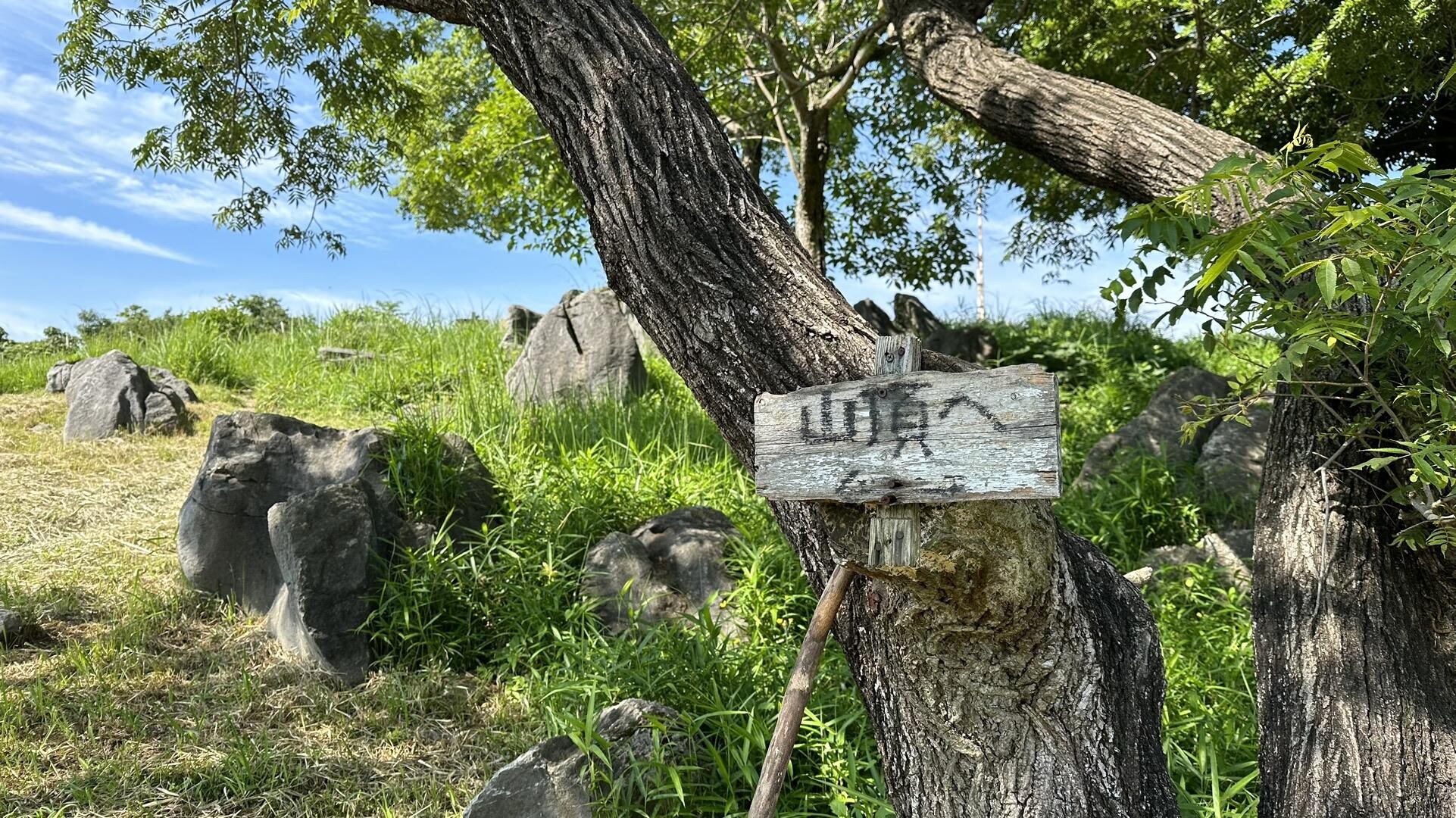 関の山-2023-06-17 / chiiccaさんの関の山の活動データ | YAMAP / ヤマップ