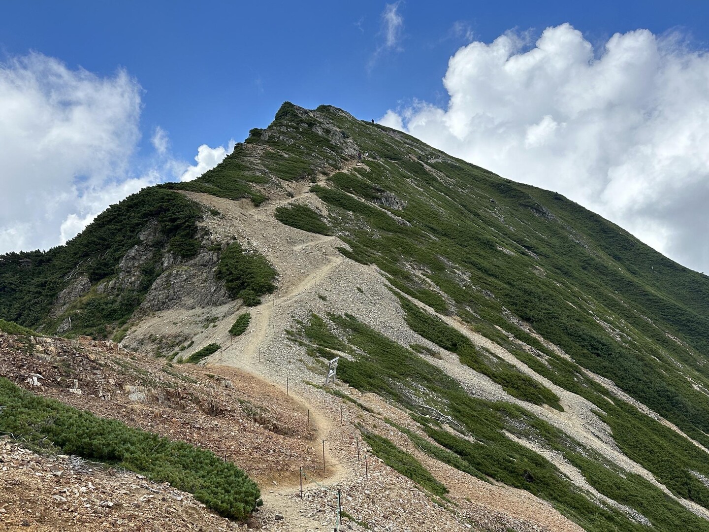爺ヶ岳 2023.8.26 / たばすこくんさんの鹿島槍ヶ岳・五竜岳（五龍岳）・唐松岳の活動データ | YAMAP / ヤマップ
