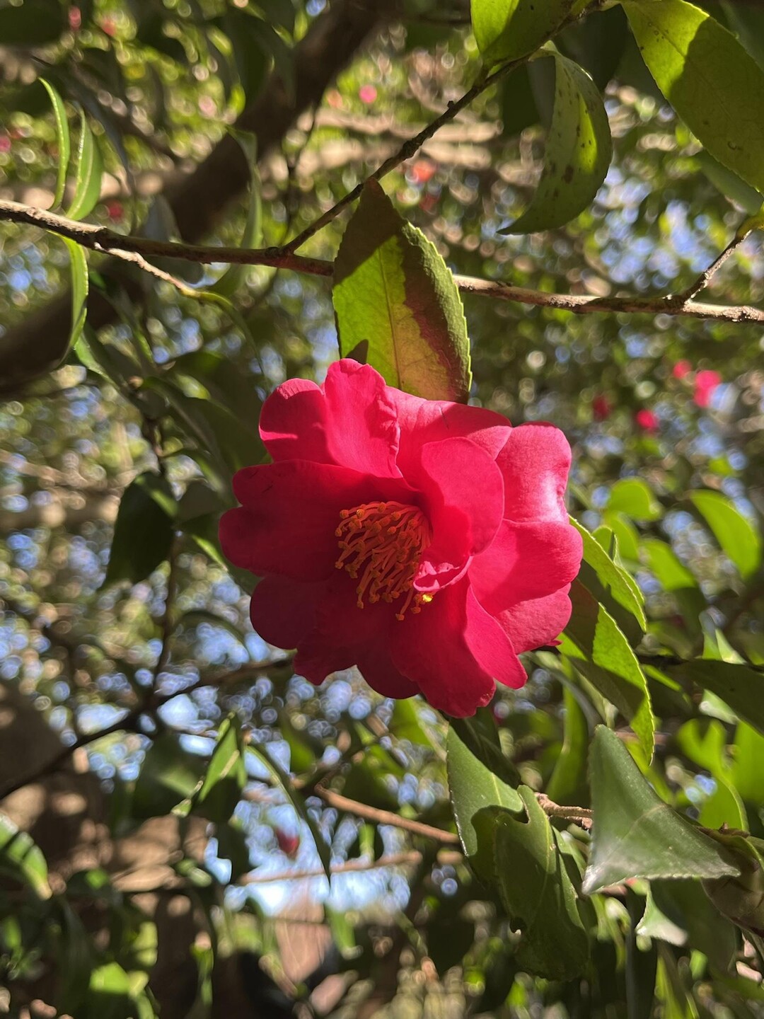 お仕事までのちょい空き時間、近くの公園で... / KEIさんのモーメント | YAMAP / ヤマップ