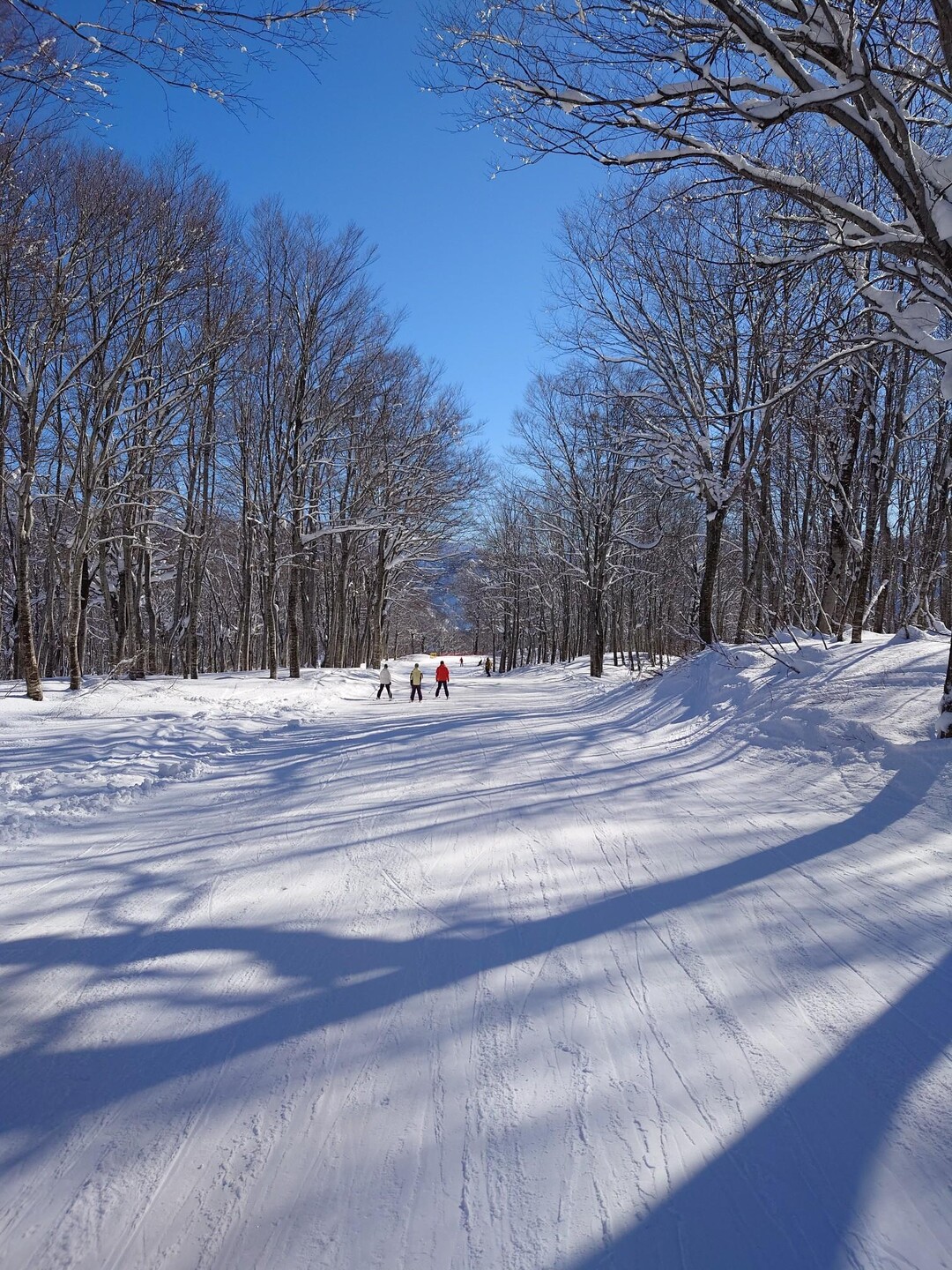 スノーボード日記 12/30奥只見丸山ス... / ko1さんのモーメント | YAMAP / ヤマップ